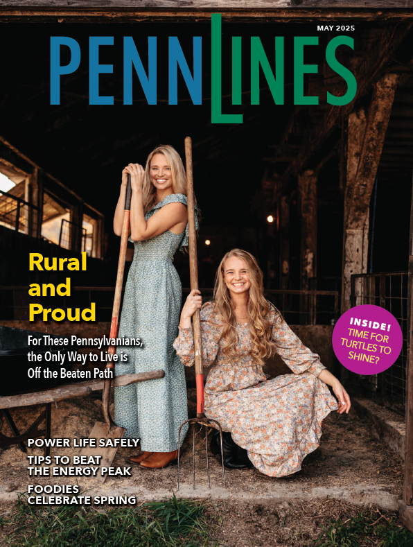 Penn Lines | REA Energy Cooperative, Inc